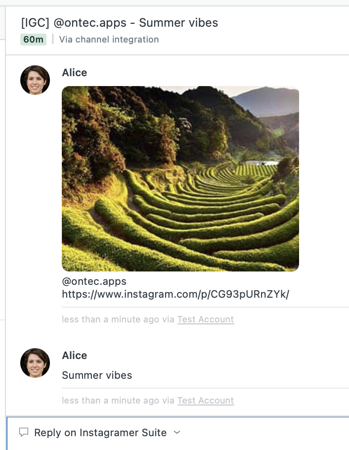 What media types are supported by Instagramer Suite? – OAPPS for Zendesk